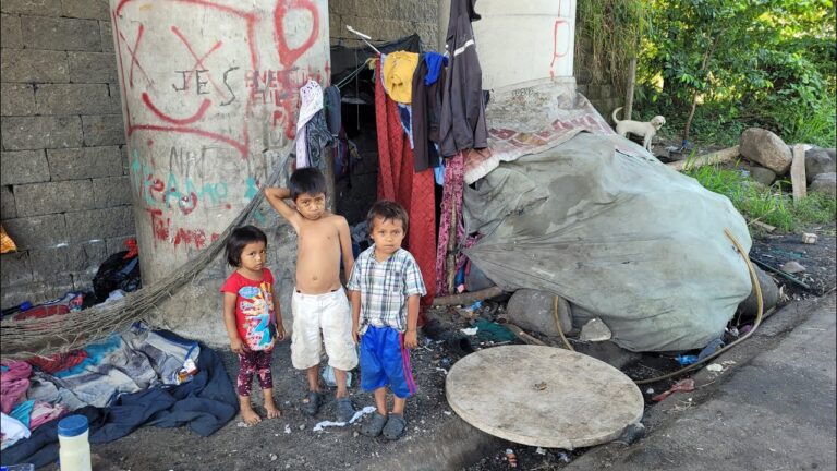 Guía completa: Cómo ayudar a los niños de la calle y cambiar vidas para ...