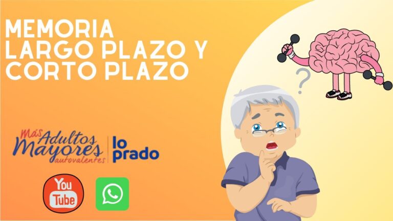 Potentes actividades de memoria a largo plazo para adultos: Mejora tus ...