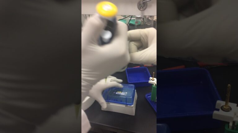 Descubre por qué el azul de Coomassie tiñe las proteínas: ¡todo lo que ...