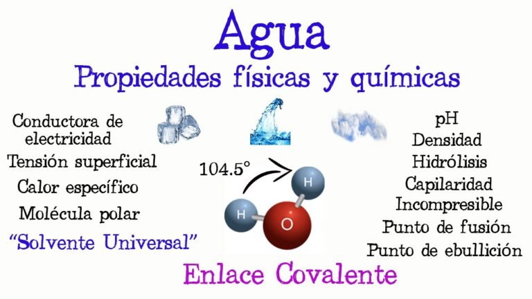 Descubre las Propiedades Físicas, Químicas y Biológicas del Agua: Todo lo que Debes Saber ...